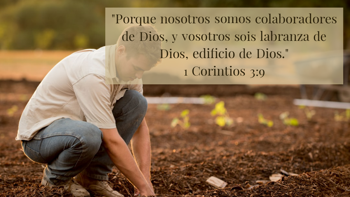 Colaborando con Dios