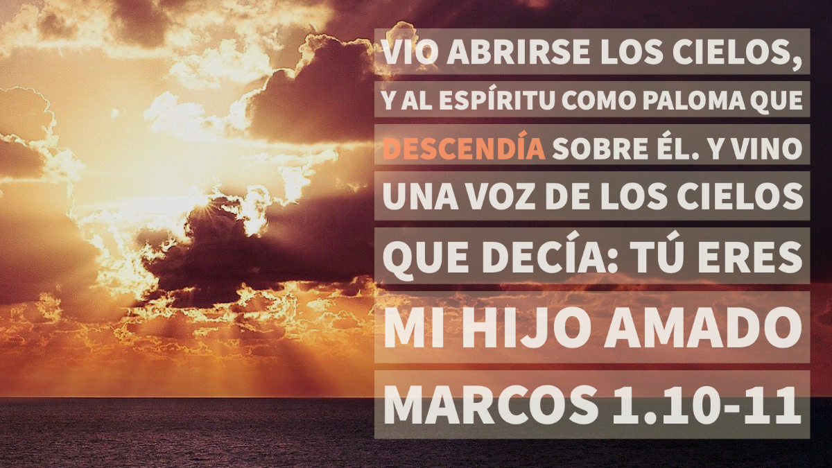 ¿Qué tan firme es tu fe?